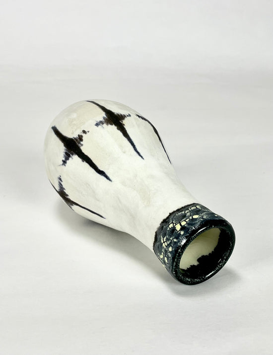 Estudio David Bratton – David Bratton Studio